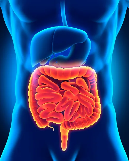 10 organe de care nu mai avem nevoie