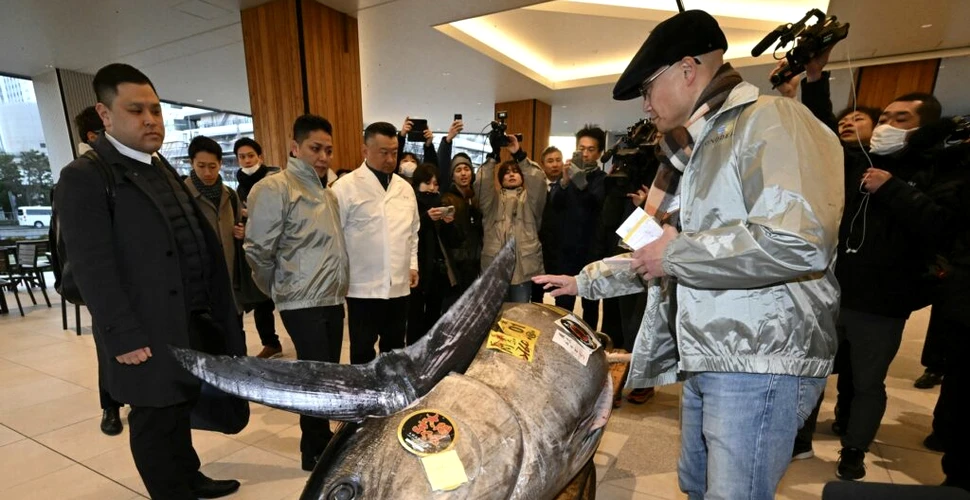 Un ton roșu de 276 kg s-a vândut cu peste 1,3 milioane de dolari la Tokyo