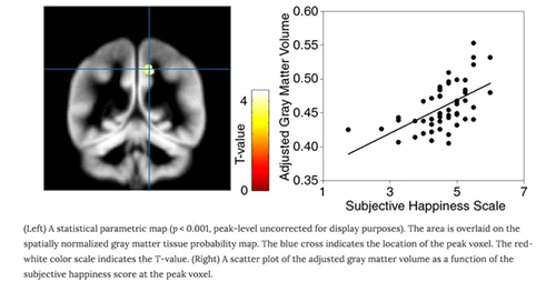 Fericirea trăieşte în acest punct din creier şi ea poate fi ''gândită''