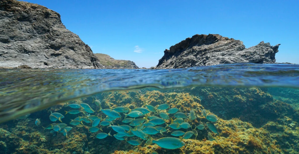 Un cartier din Marsilia este încălzit cu apă din Marea Mediterană