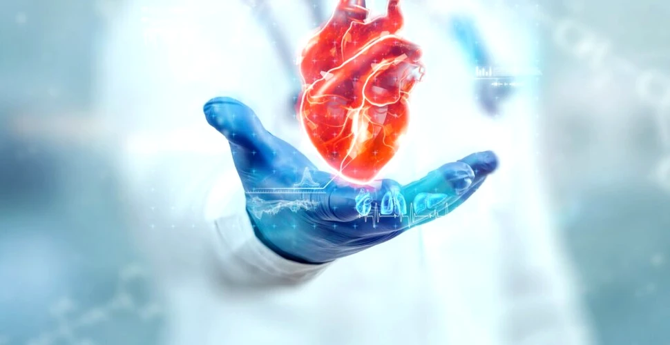 Inima umană este incredibilă! Un studiu arată că se poate repara singură